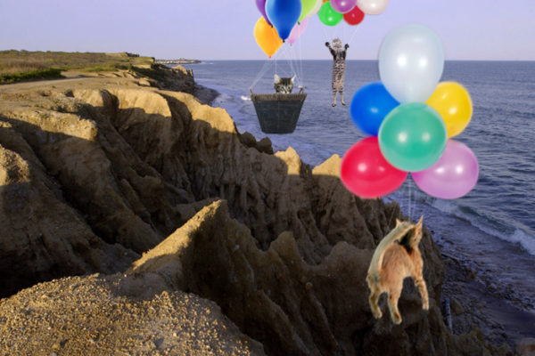 Holiday Cat Float Questioned in Montauk – Dan’s Papers