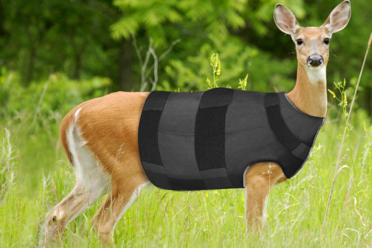 Animal Advocate Proposes Bulletproof Vests for Deer – Dan’s Papers