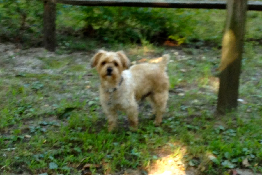 Shop 'til You Drop: Mattituck, What’s Not to Love? – Dan’s Papers