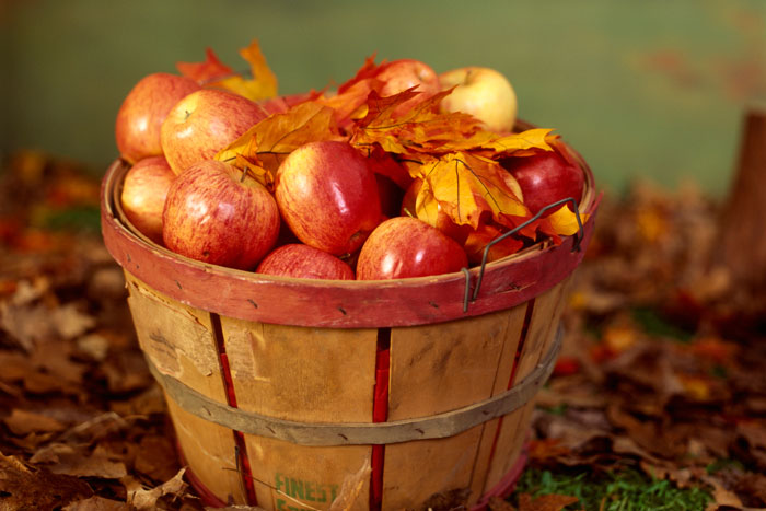 Apple Treats to Enjoy on the East End This Fall – Dan’s Papers