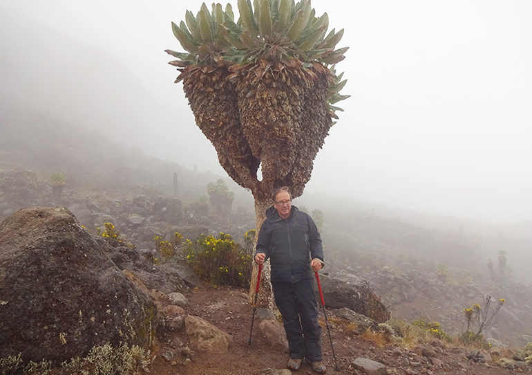 My Kilimanjaro: 70-Year-Old Ascends Africa's Greatest Summit