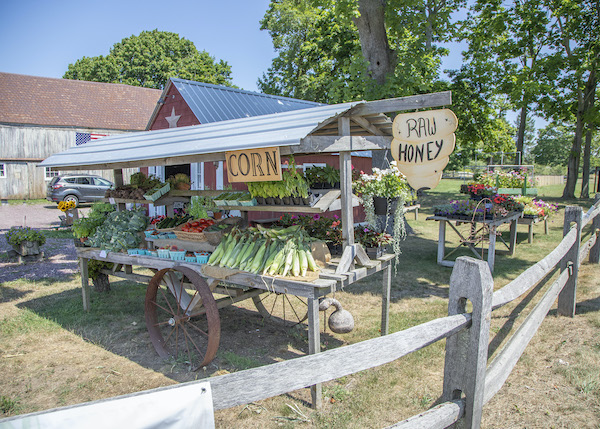 Discover Grape Pie and More at 1760 Homestead Farm