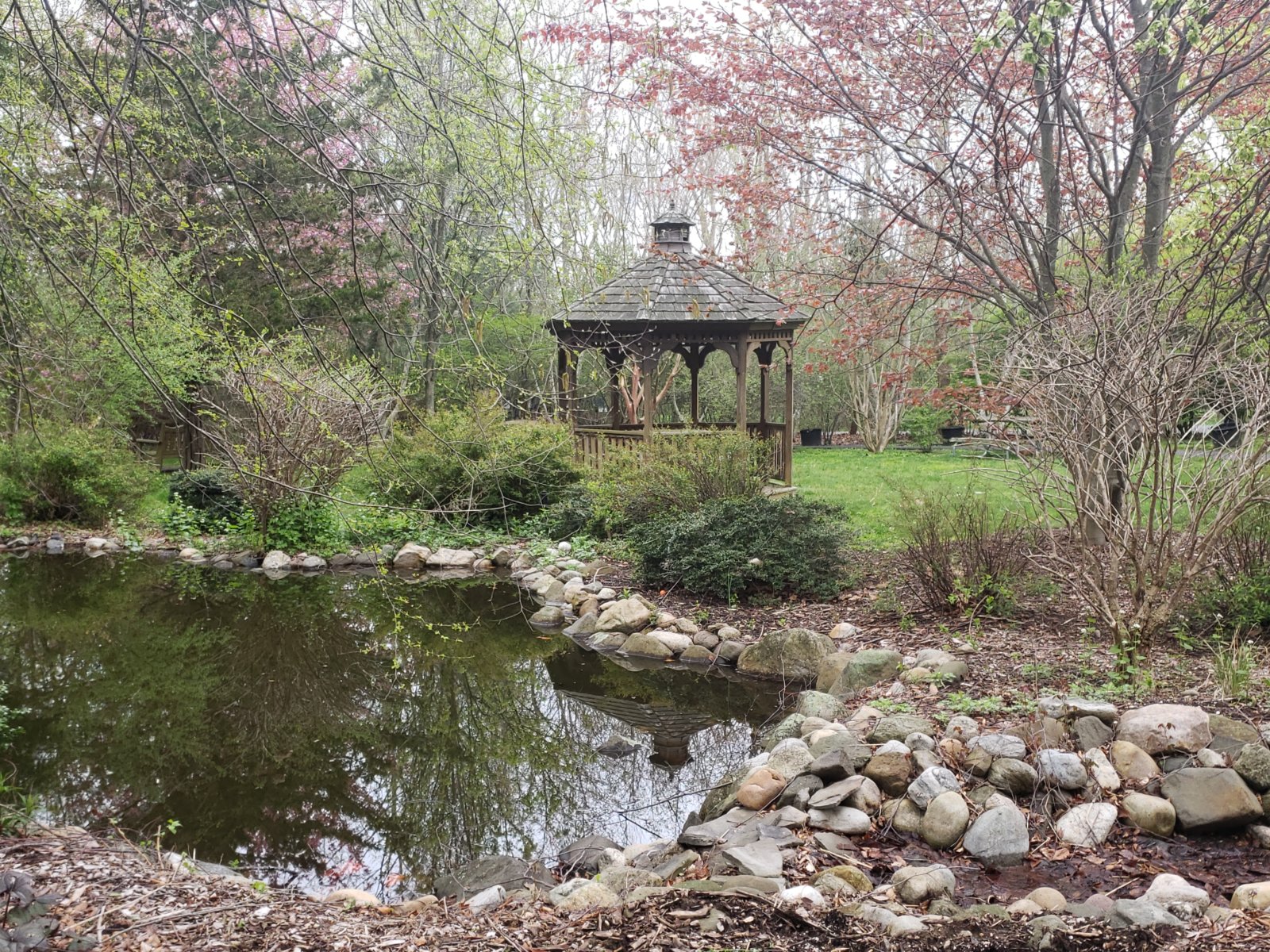 RISE Life Services Raises Hope, Health and Lends a Helping Hand – Dan’s ...