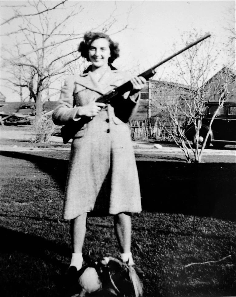 A Walk Down Memory Lane with David Falkowski – Dan’s Papers