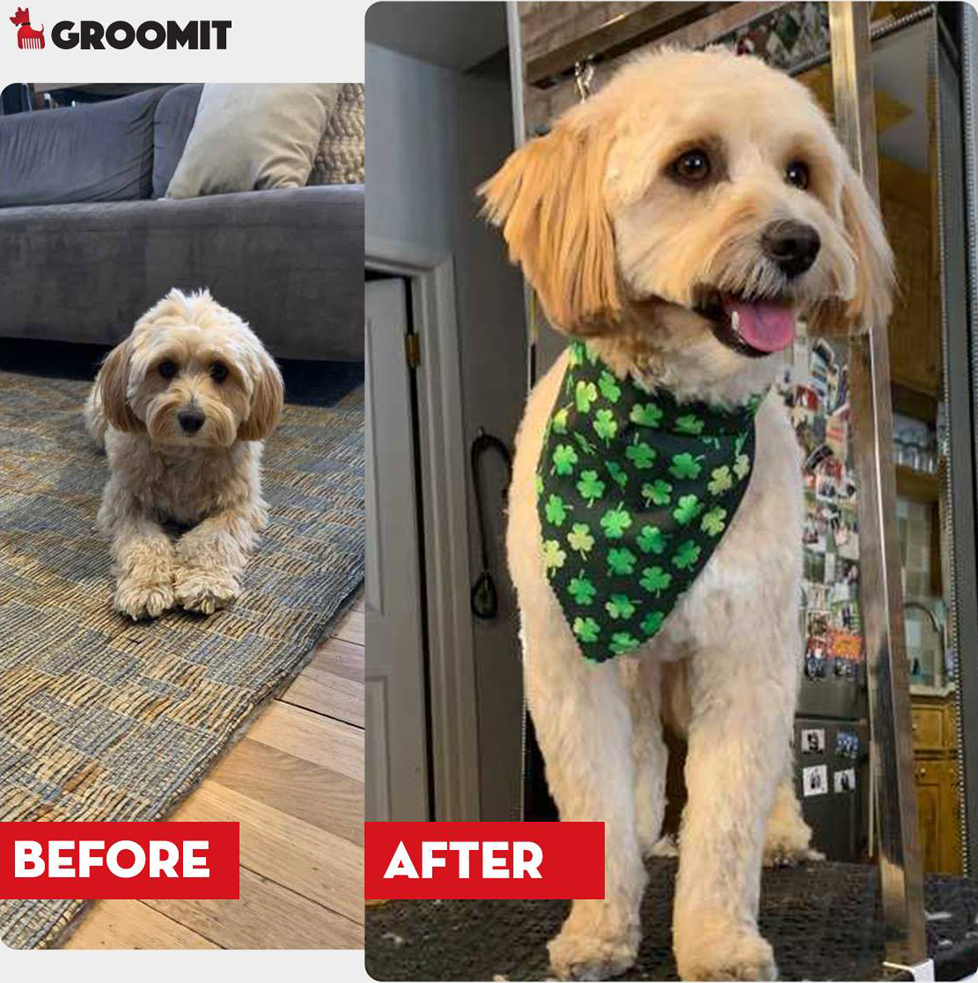 Summer Social Essentials – Dan’s Papers