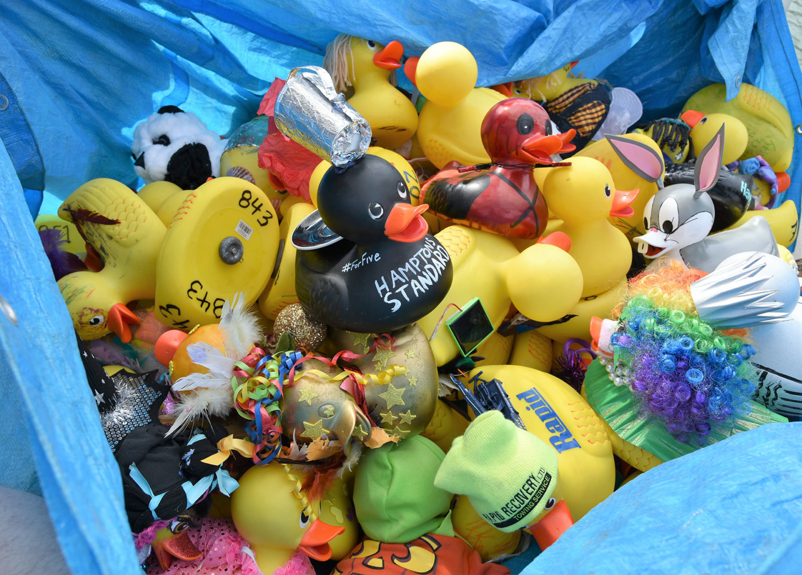 Rubber Duckie, You’re The One – Dan’s Papers