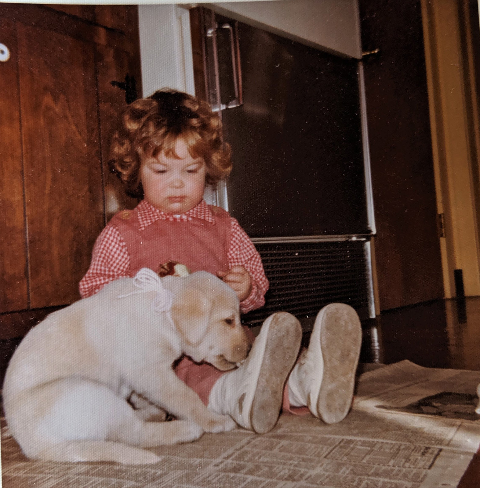 A Walk Down Memory Lane With Amy Halsey – Dan’s Papers