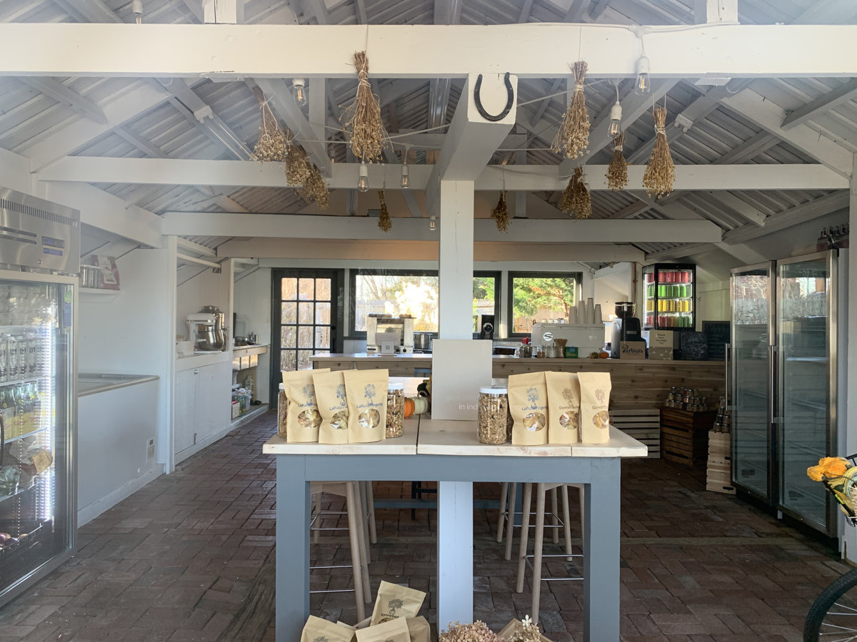 Hello Oma: Café To Catering – Dan’s Papers