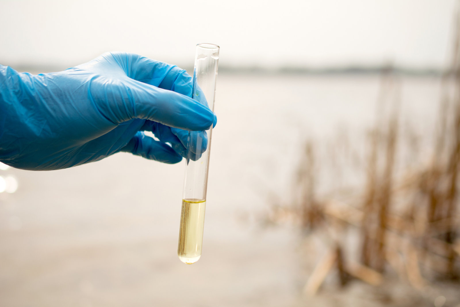 Nix The Nitrogen – Dan’s Papers