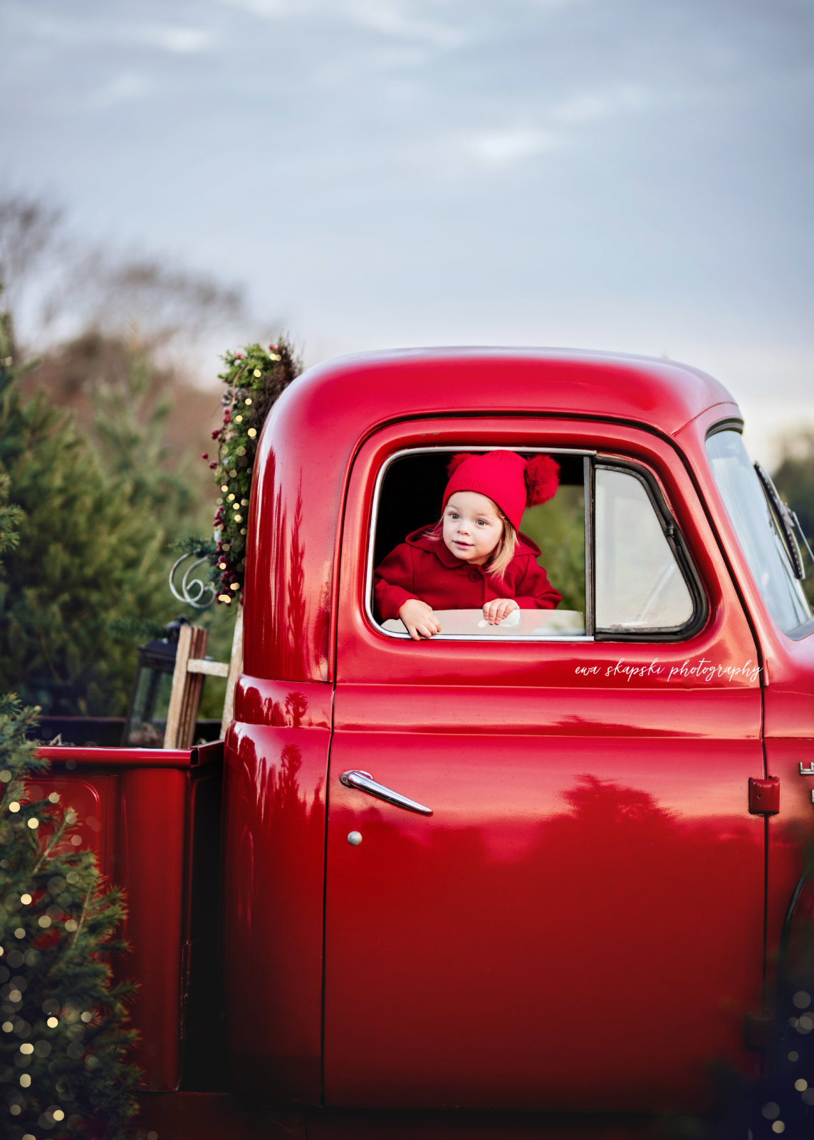Santa's Christmas Tree Farm – A North Fork Holiday Tradition