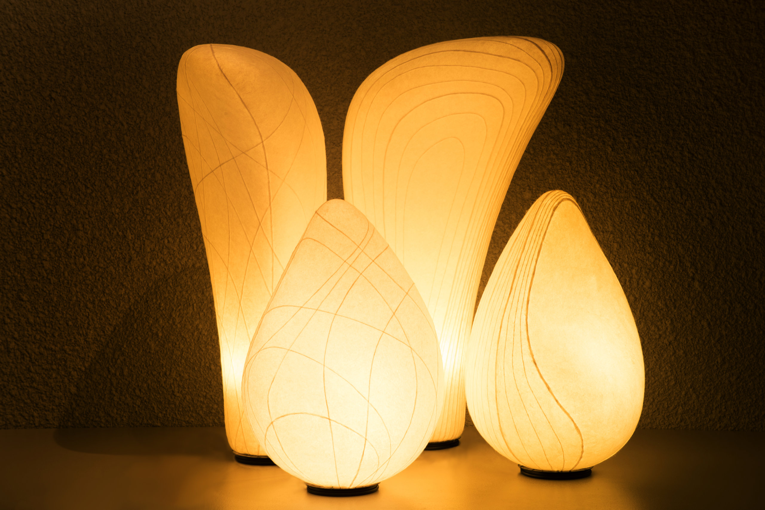 Morikami Museum Explores Washi, the Art of Japanese Paper