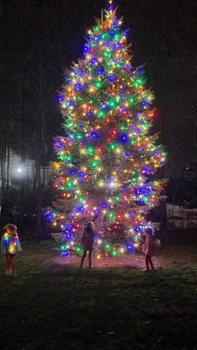 Westhampton Beach Winterfest 2022 Photos