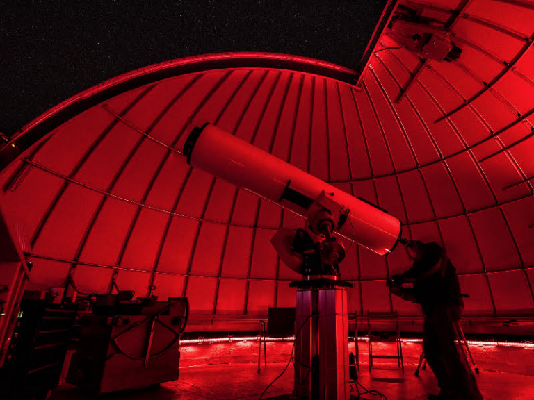 Morikami Museum Explores Washi, the Art of Japanese Paper