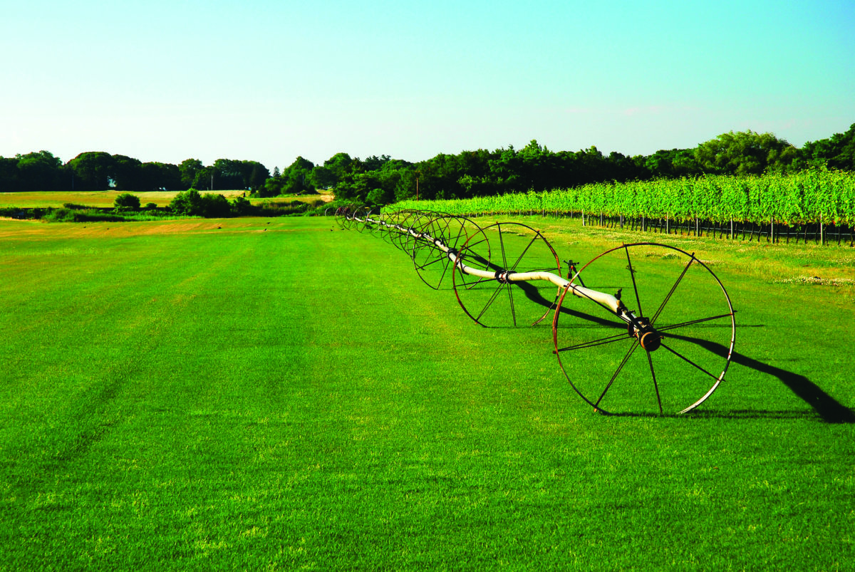 15 Things You Should Know Before Moving to Long Island 15 Things You Should Know Before Moving to Long Island