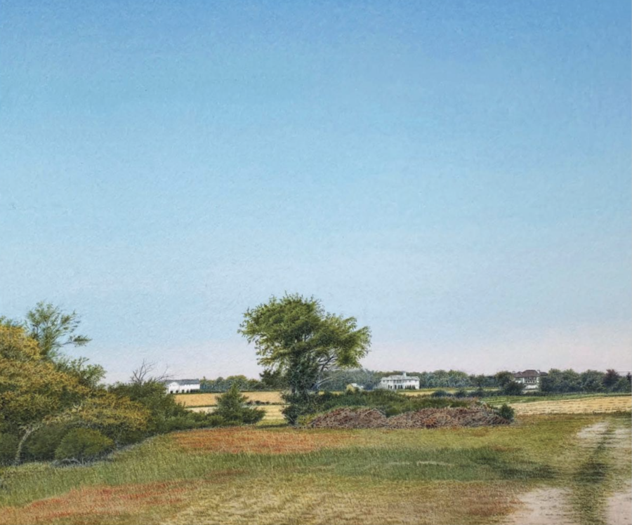 Howard Stern Talks Painting and His July 16 Dan's Cover Art